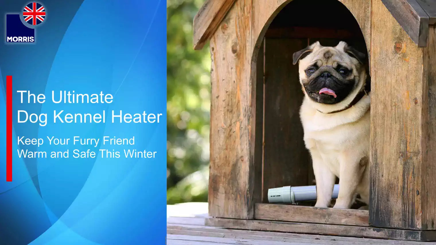 The Ultimate Dog Kennel Heater Guide | Morrisdirect.co.uk – Morris Direct