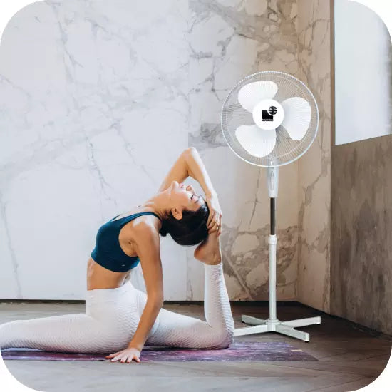 Morris Fan | Morris Fans | Morris Direct